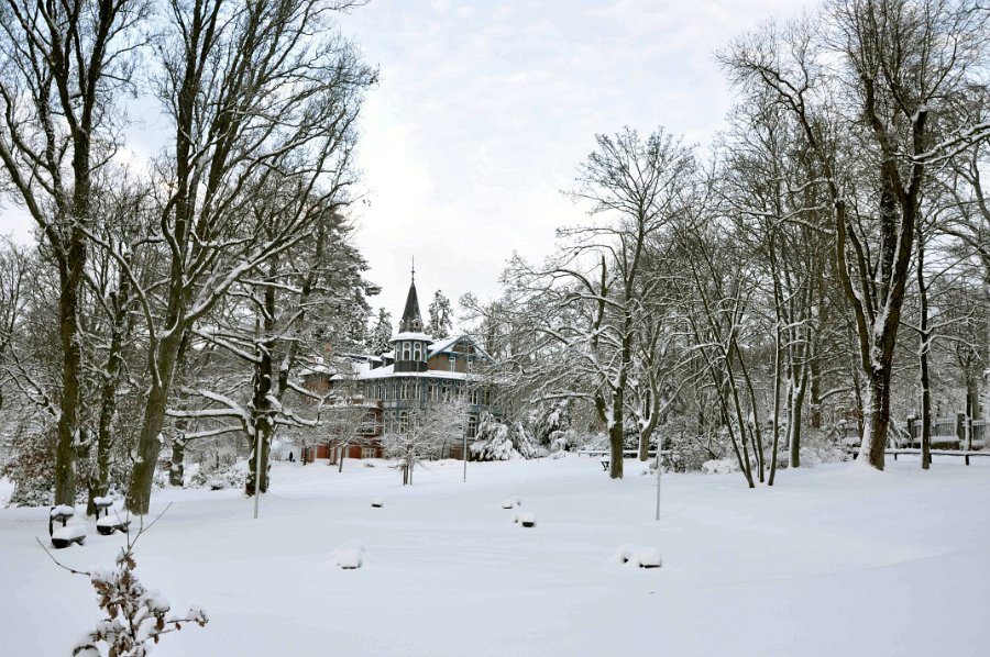 Villa Lilly